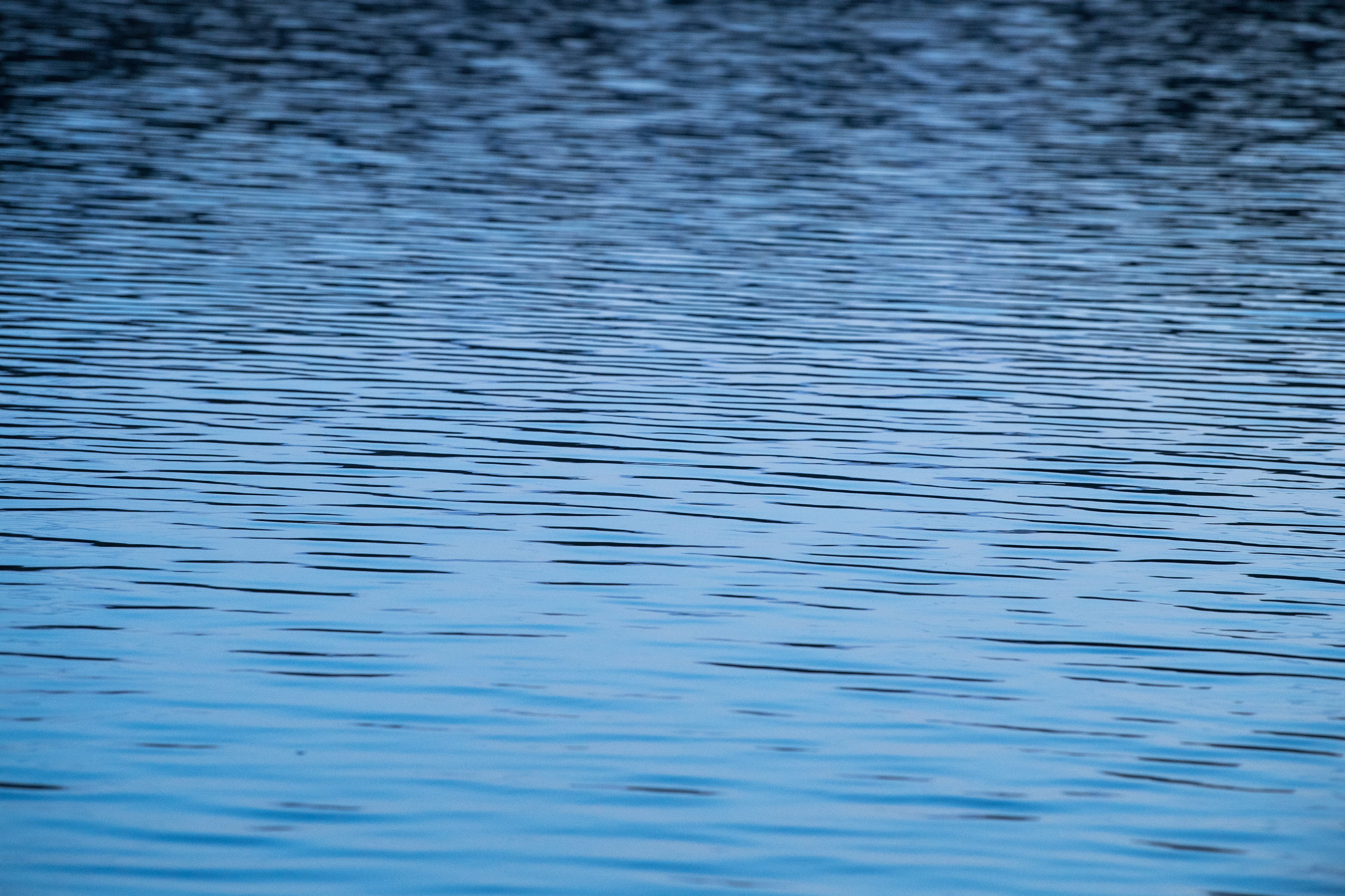 Water Division Water Division